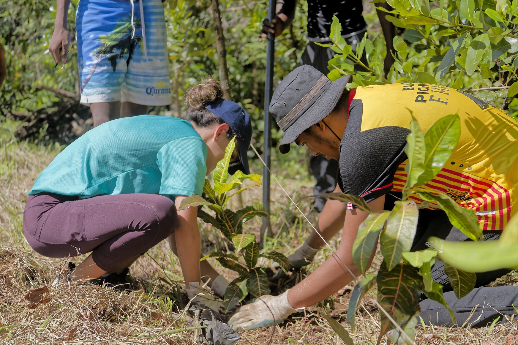 Discipling the Next Generation in Caring for Creation - CBM - Canadian ...